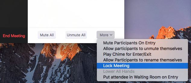 Prevent Zoom Bombing: Tips, Settings, and Controls to Help Protect Your ...